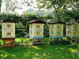 The Fascinating History of Polish Honey | Donna Gawell