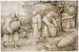 The Fascinating History of Polish Honey | Donna Gawell