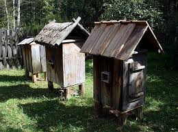 The Fascinating History of Polish Honey | Donna Gawell