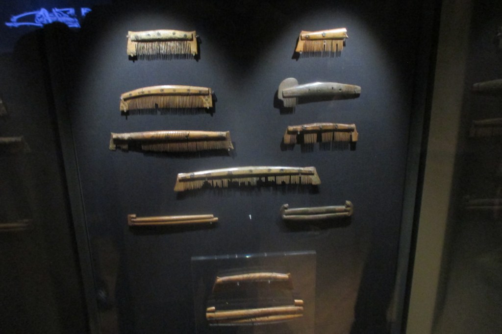 The Lives of Our Viking Ancestors in Jorvik | Donna Gawell